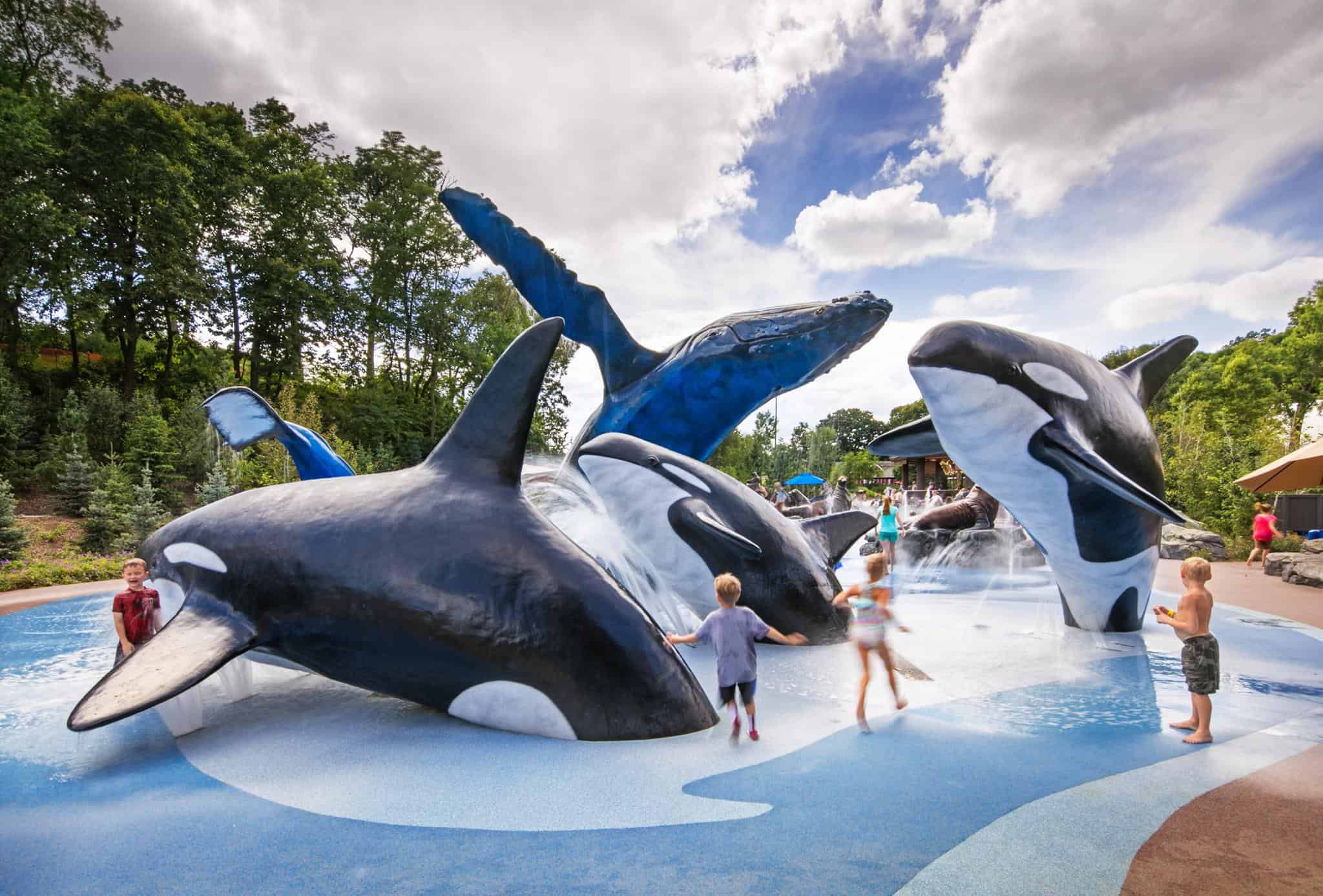 Alaskan Adventure Splash park | Placzek Studios